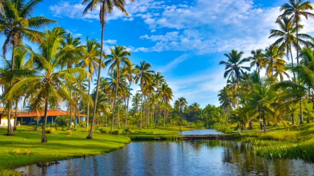 if you are thinking of visiting Wayanad do visit these 5 must see places