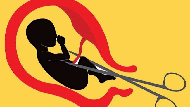स्त्री भ्रूण हत्या रोखण्यासाठी 'आमची मुलगी' संकेतस्थळ सुरु; तक्रारदारास ...