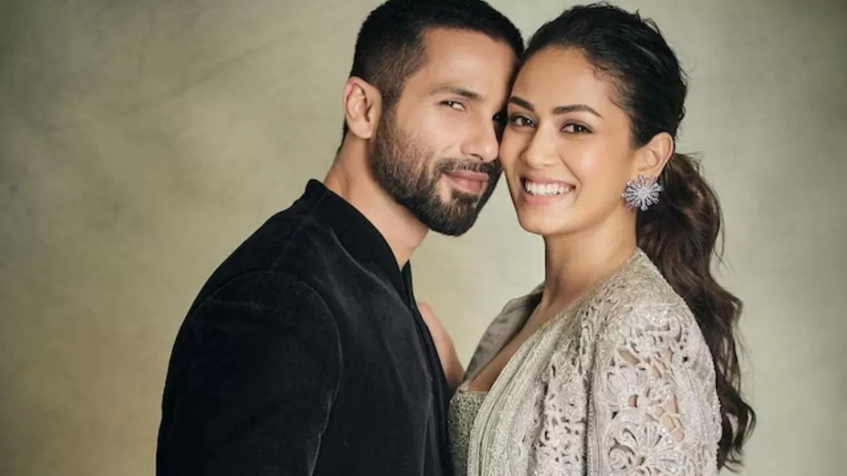 Meera Rajputला होता तिच्या पहिल्या प्रेग्नेंसीच्यावेळी मिसकॅरेजचा धोका ...