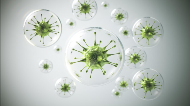 STSS in Japan: Flesh Eating Bacteria चा जपानमध्ये कहर, उपचार न केल्यास ...