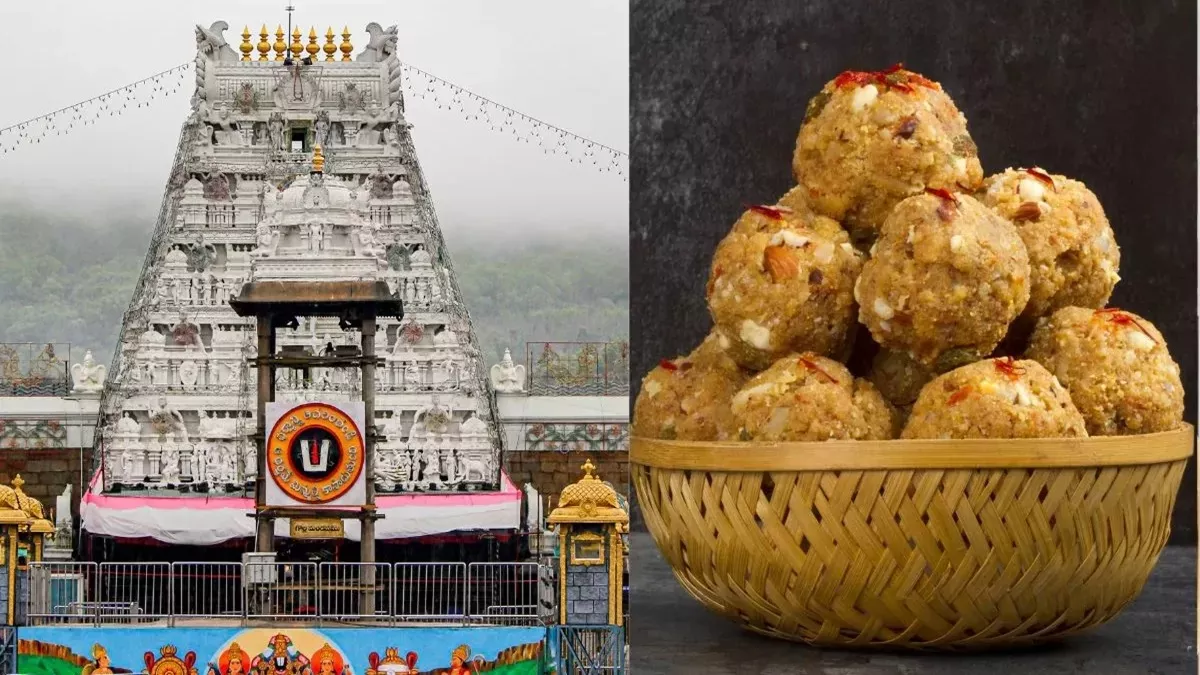 Tirupati Laddu Row: ज्याला टेंडर मिळाले त्याने बनवलेच नाही तूप; तीन ...
