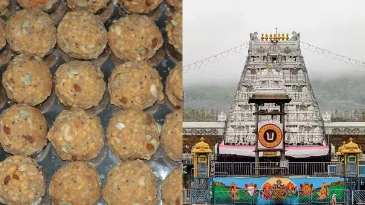 Tirupati Laddu Case: 'आम्ही तिरुपती मंदिरात तूप कधीच पुरवले नाही', लाडूच्या वादावर अमूलचे ...