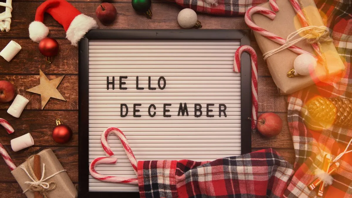 Important Days in December 2024: डिसेंबरमधील सर्व महत्त्वाच्या ...